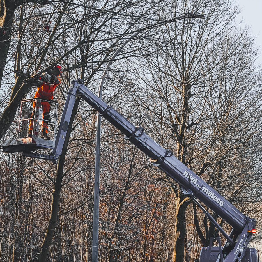 Pabst Landschaftsservice GmbH - Baumpflege und Fällarbeiten